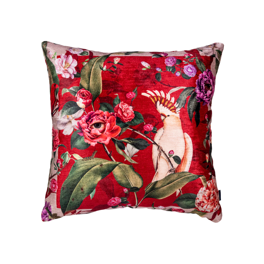 Cojin Macaw Velvet – Concepto Erre